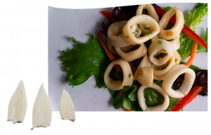 Imported Squid - Lund's Fish