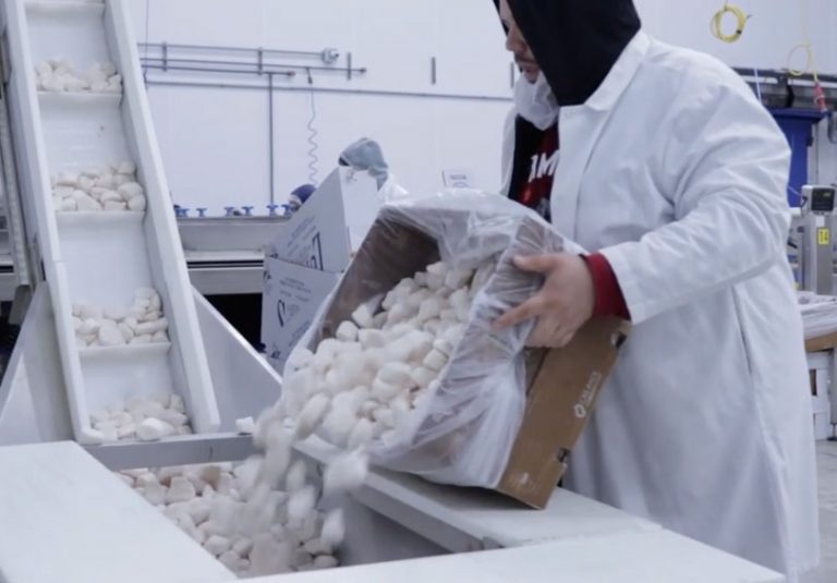 Lund's Fisheries: Seafood As It Should Be