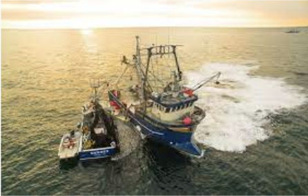 Timeline: A history of quality - Lund's Fish